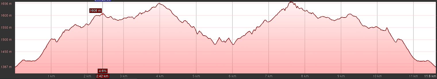 Cloudline Trail Canmore - A Trail Runners Point of View
